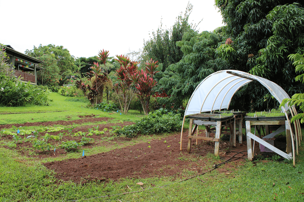 ...they are doing WHAT now? | About the Farm: Sprout House